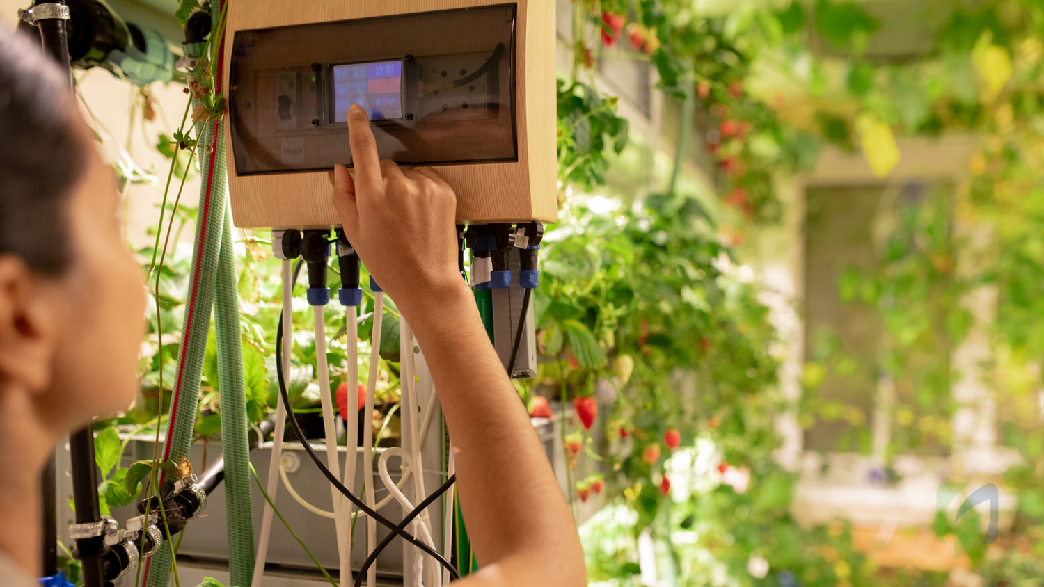 Hort Americas Blog – Hortamericas Mexico